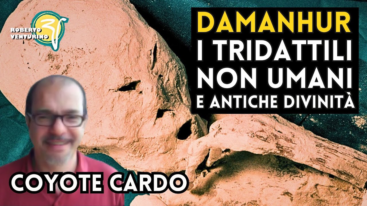 MUMMIE DI NAZCA e FALCO TARASSACO #mummiedinzaca #mistero - YouTube