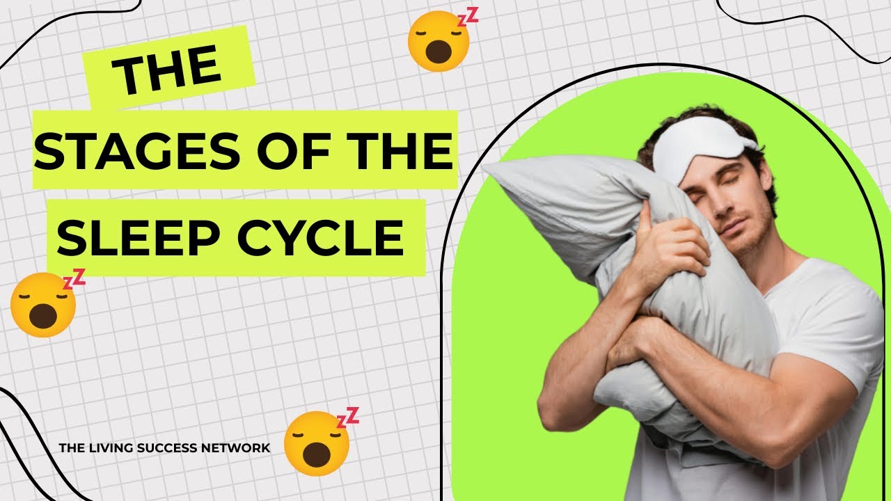 The Stages of the Sleep Cycle: Explained and Analyzed - YouTube