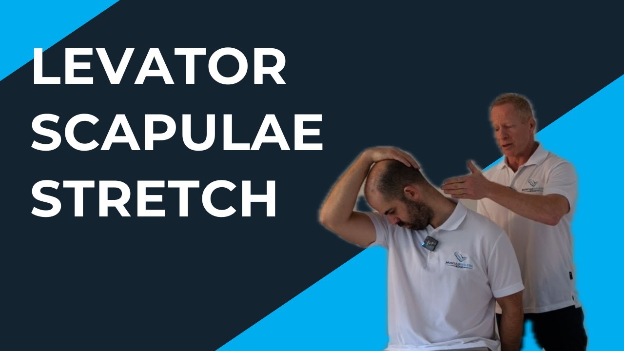 Corrective Exercise Levator Scapulae Stretch. - YouTube