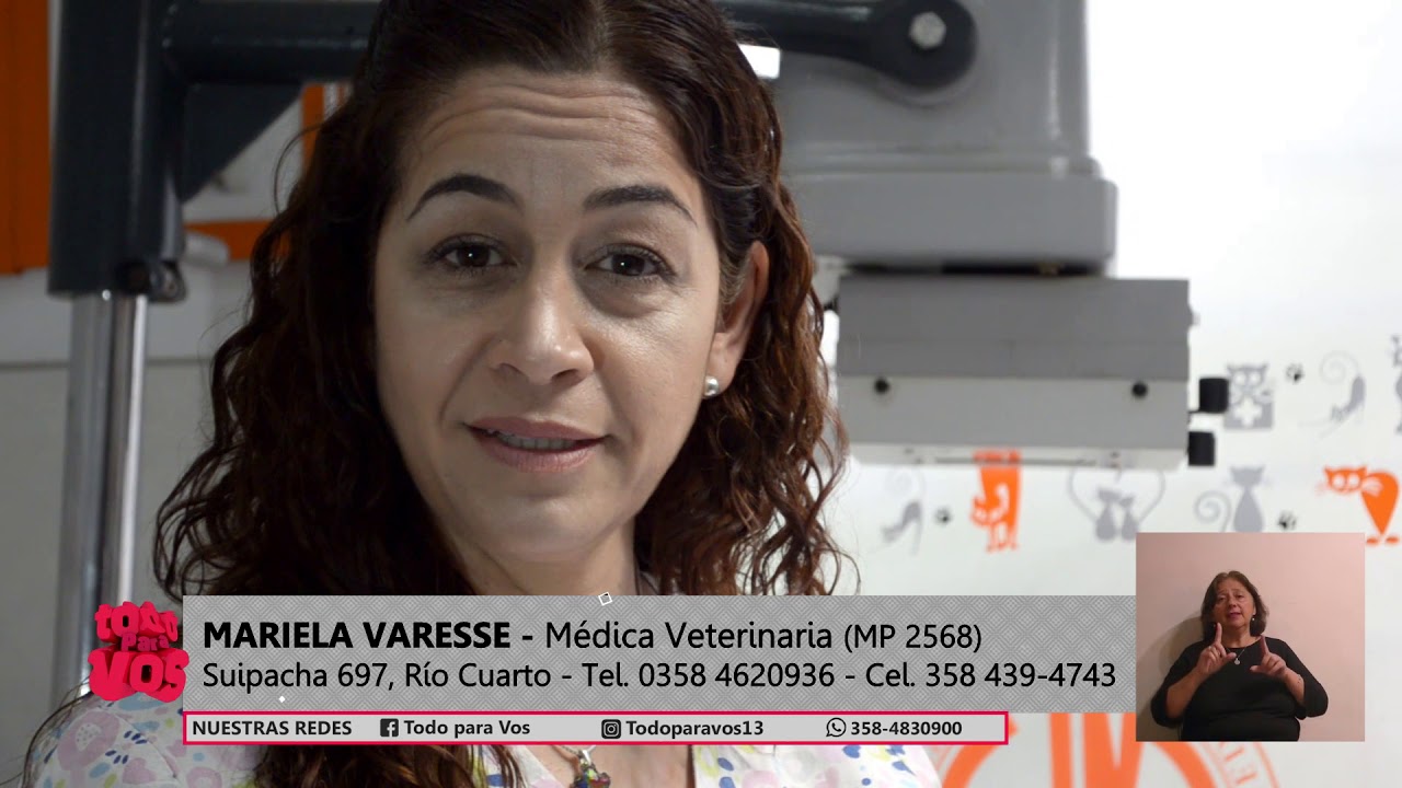 TODO PARA VOS - PROGRAMA 015 - BLOQUE 01 - 24/10/2020 - MARIELA VARESSE - YouTube