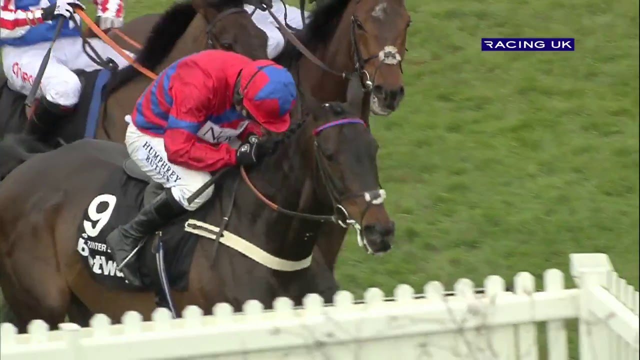 2016 Horse Of The Year Nominee - Sprinter Sacre - YouTube