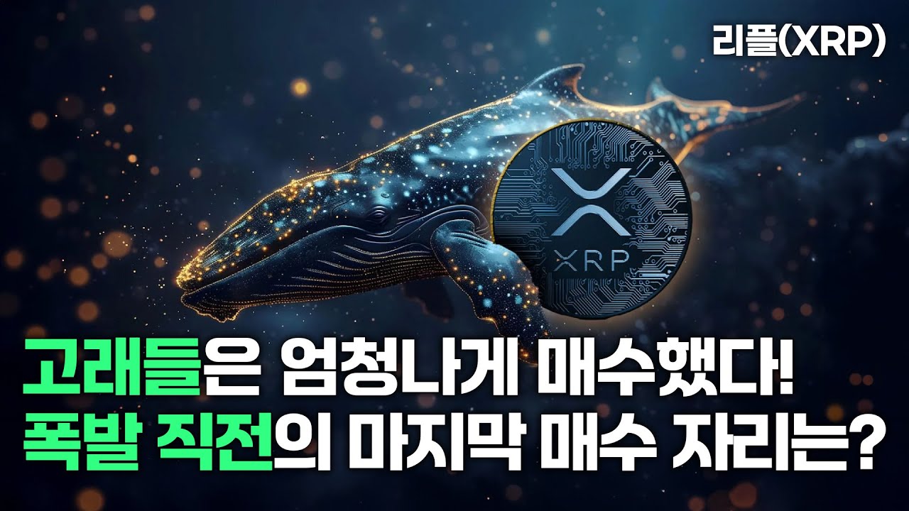 이프로 리플 고래들의 대규모 매집은 이미 시작됐습니다 가장 좋은 매수자리가 지나가기 전에 미리 준비하세요 리플코인