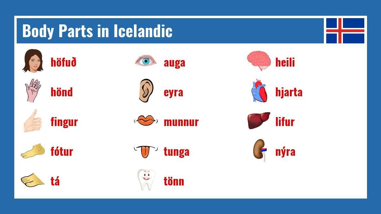 Body Parts in Icelandic - YouTube