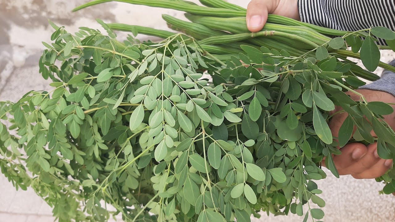 SIMPLE LUNCH SIDE DISH/KERALA STYLE HELTHY RECIPE/MURINGA ILA UPPERI ...