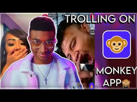 The Monkey App| YOU WONT BELIEVE WHAT HAPPENED - YouTube