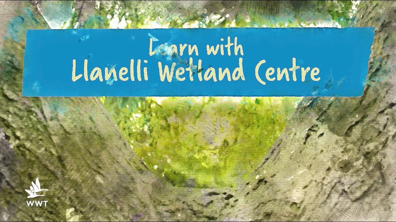 Learn with WWT Llanelli - YouTube