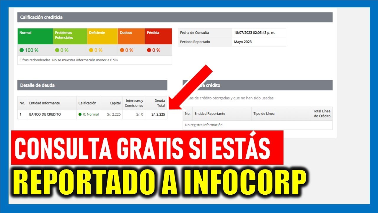 Cómo saber si estoy en INFOCORP |Consulta gratis solo con tu DNI si tienes deudas - YouTube
