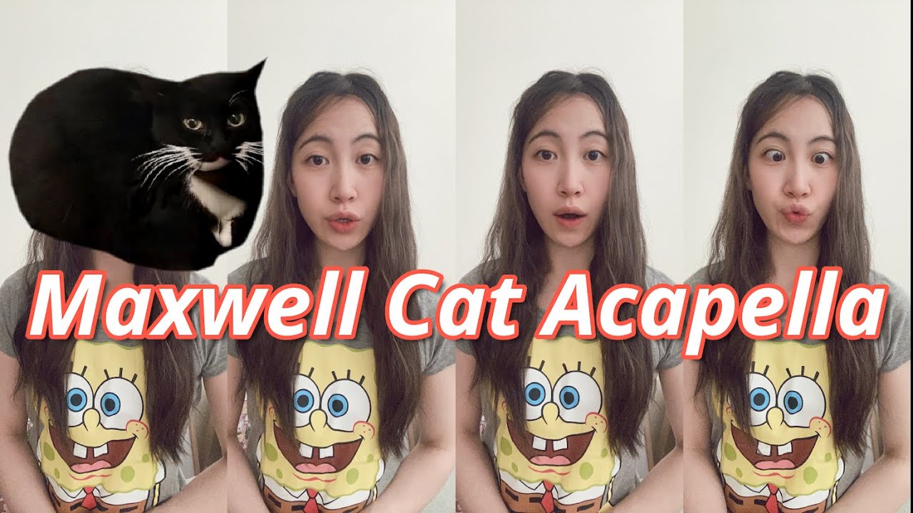 Maxwell Cat Song (acapella) - YouTube