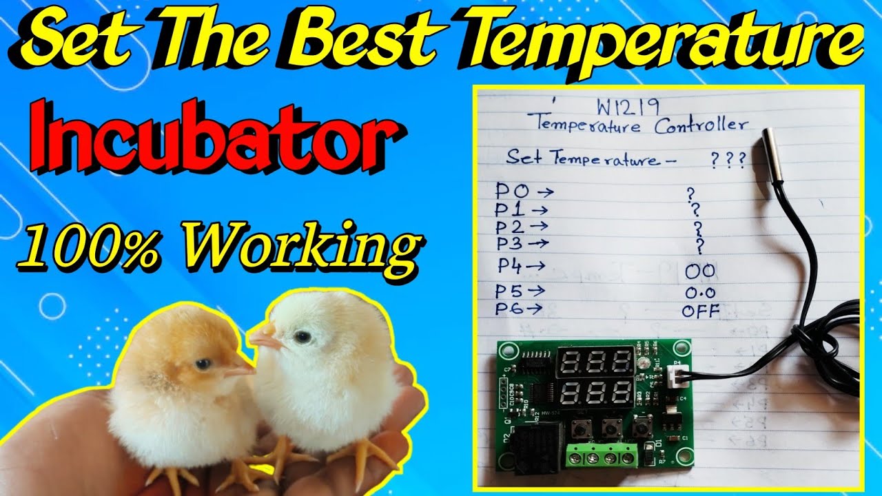 W1219 Incubator Controller Temperature Setting.Incubator Temperature Controller.W Electric ...