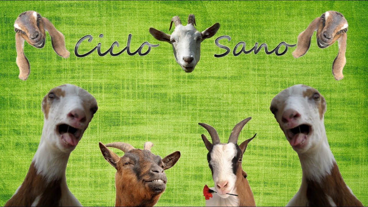 Intro del canal 🐐 (Jurassic Goat) - YouTube