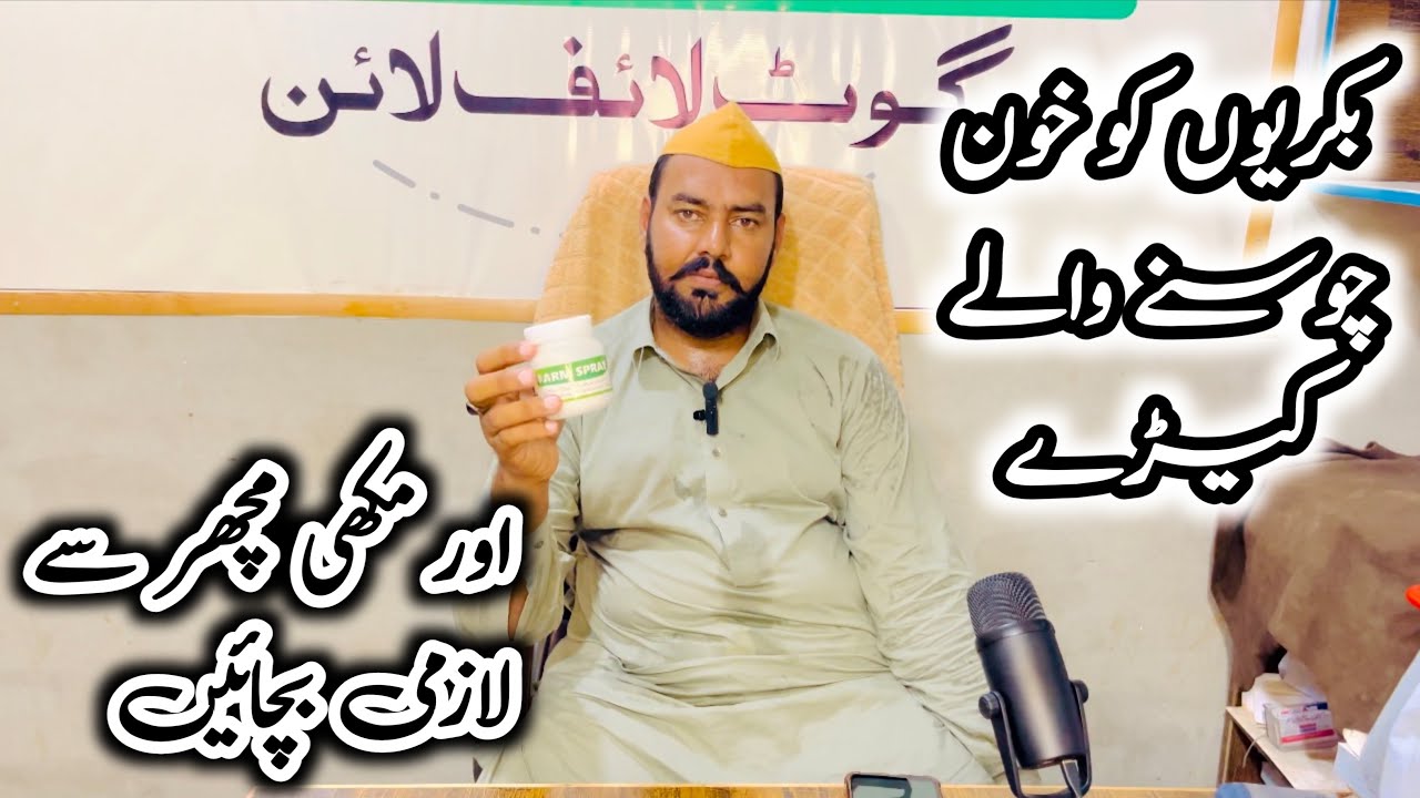 farm spray pr muqamal guide or makhi , machar se chutkara // goat life ...