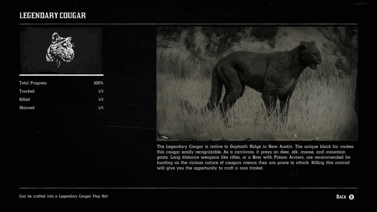 Red Dead Redemption 2 - Legendary Cougar Location - YouTube