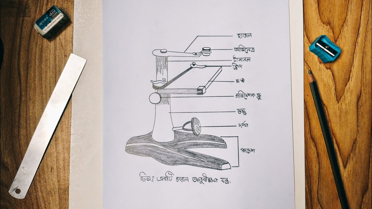 How to draw a Dissecting Microscope |dissecting Microscope for ...