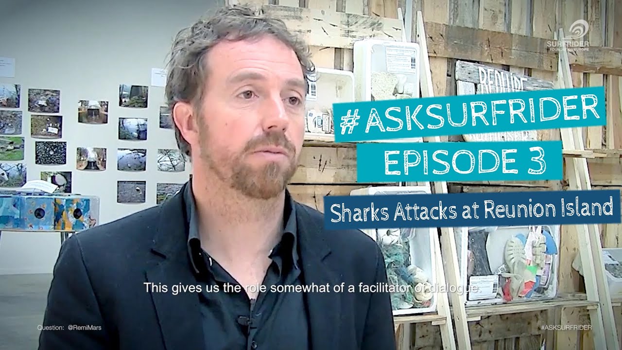 Ask #3 - Shark attacks in Reunion Island - Surfrider Foundation Europe ...