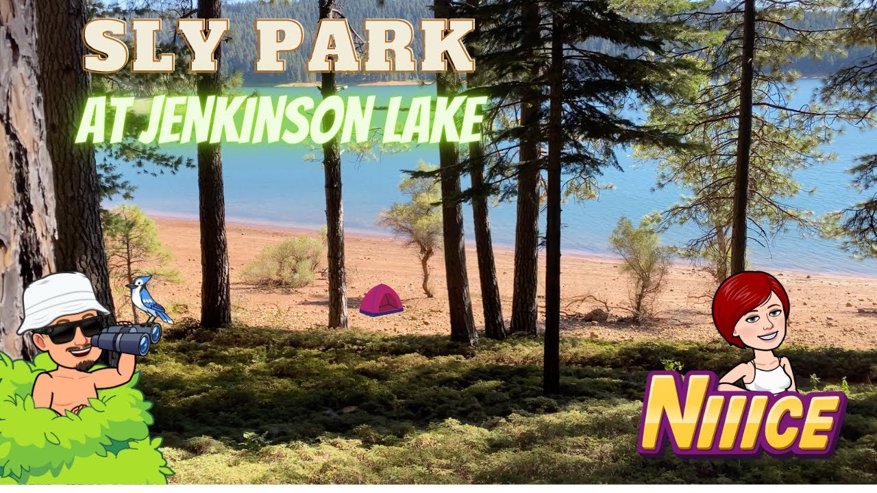 How to spend a day at Sly Park Recreation Area at Jenkinson Lake - YouTube