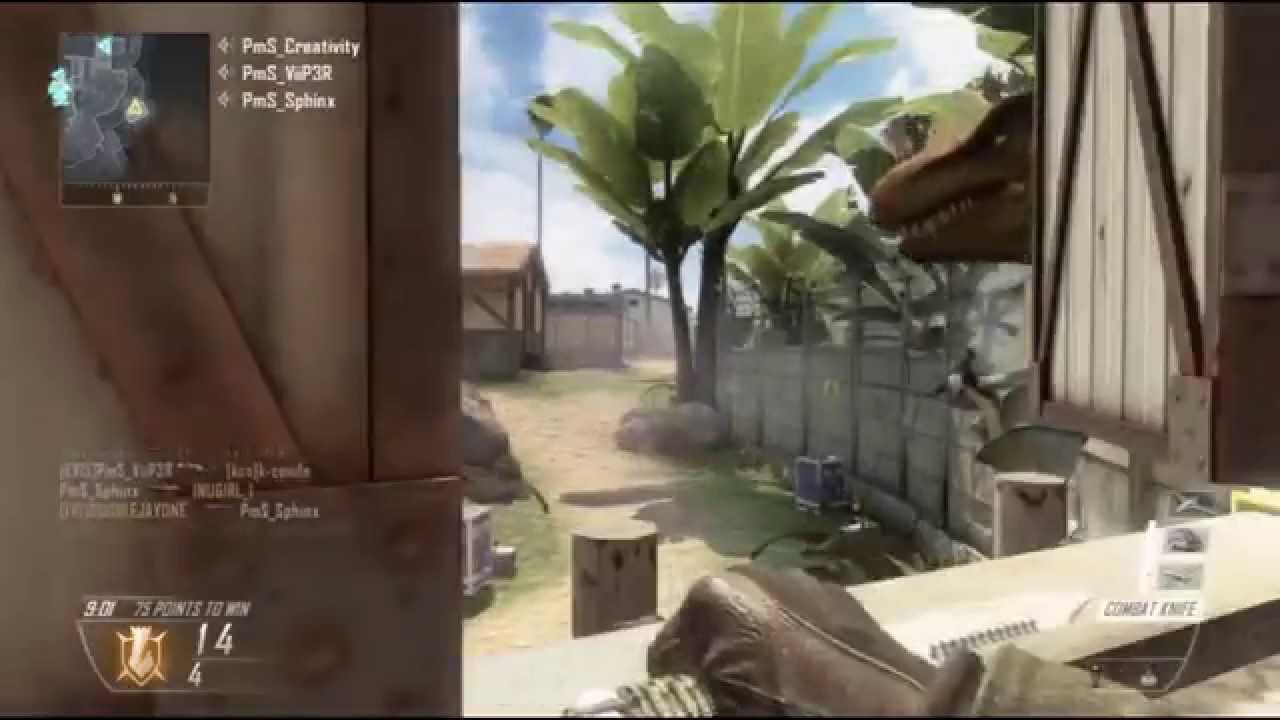 PmS Clan: Road To A Killcam #4 (BO2) - YouTube