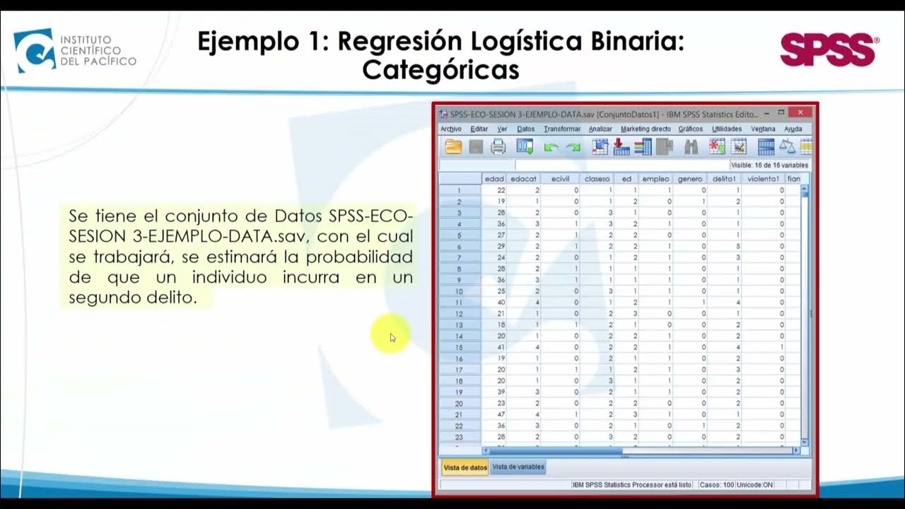 SPSS ECONOMIA-S03-MODELO LOGIT BINARIA-EJEMPLO 01 - YouTube