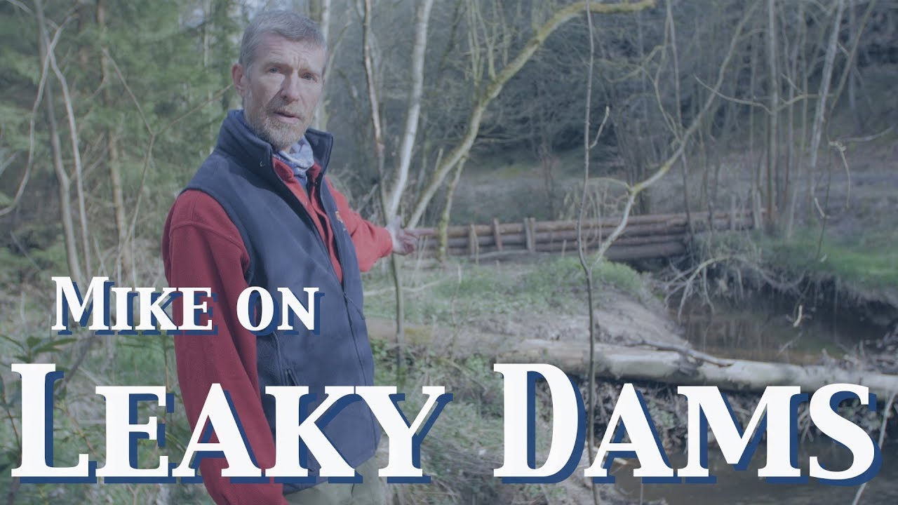 High Water Film: Mike on Leaky Dams - YouTube