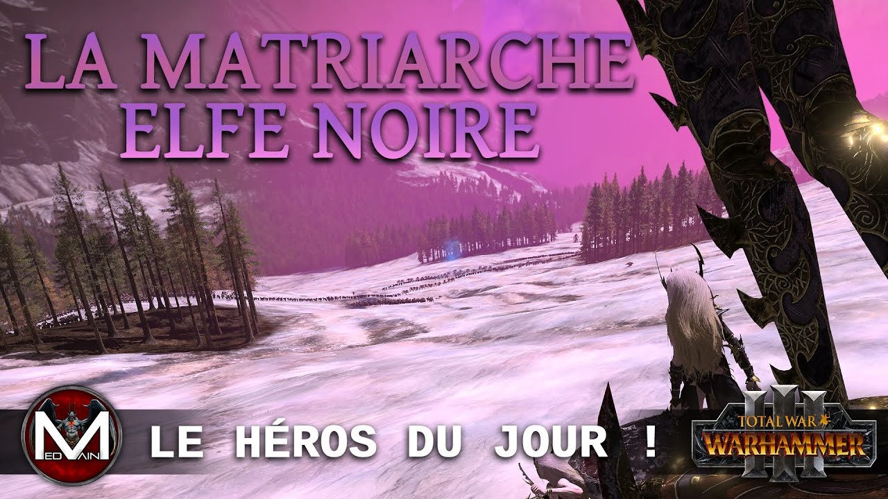Le héro du jour : la Matriarche Elfe Noir - YouTube