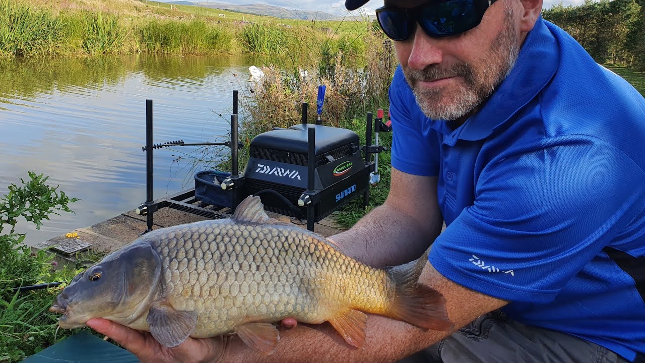 method feeder fishing for carp: Orchill Coarse Fishery - YouTube