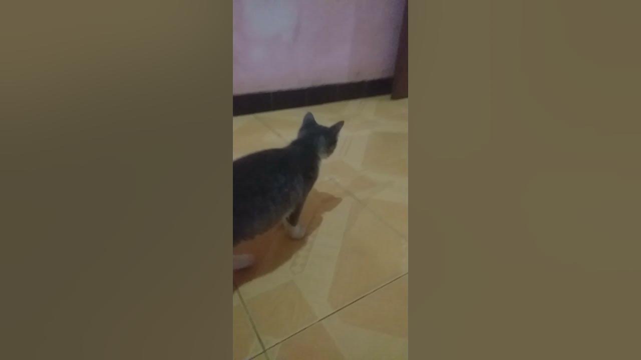 Item dan Ino main petak umpet. - YouTube