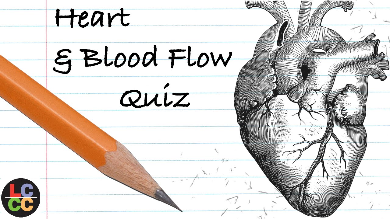 Heart Quiz - YouTube