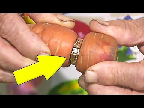 İnsanlık Tarihinin Gelmiş Geçmiş En Şanslı 13 İnsanı