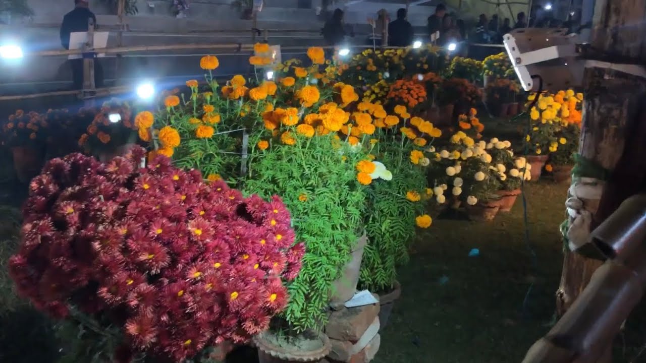 PHOOL MELA || Beautiful Flowers ️ || #trending #viral #suresh_thakur ...