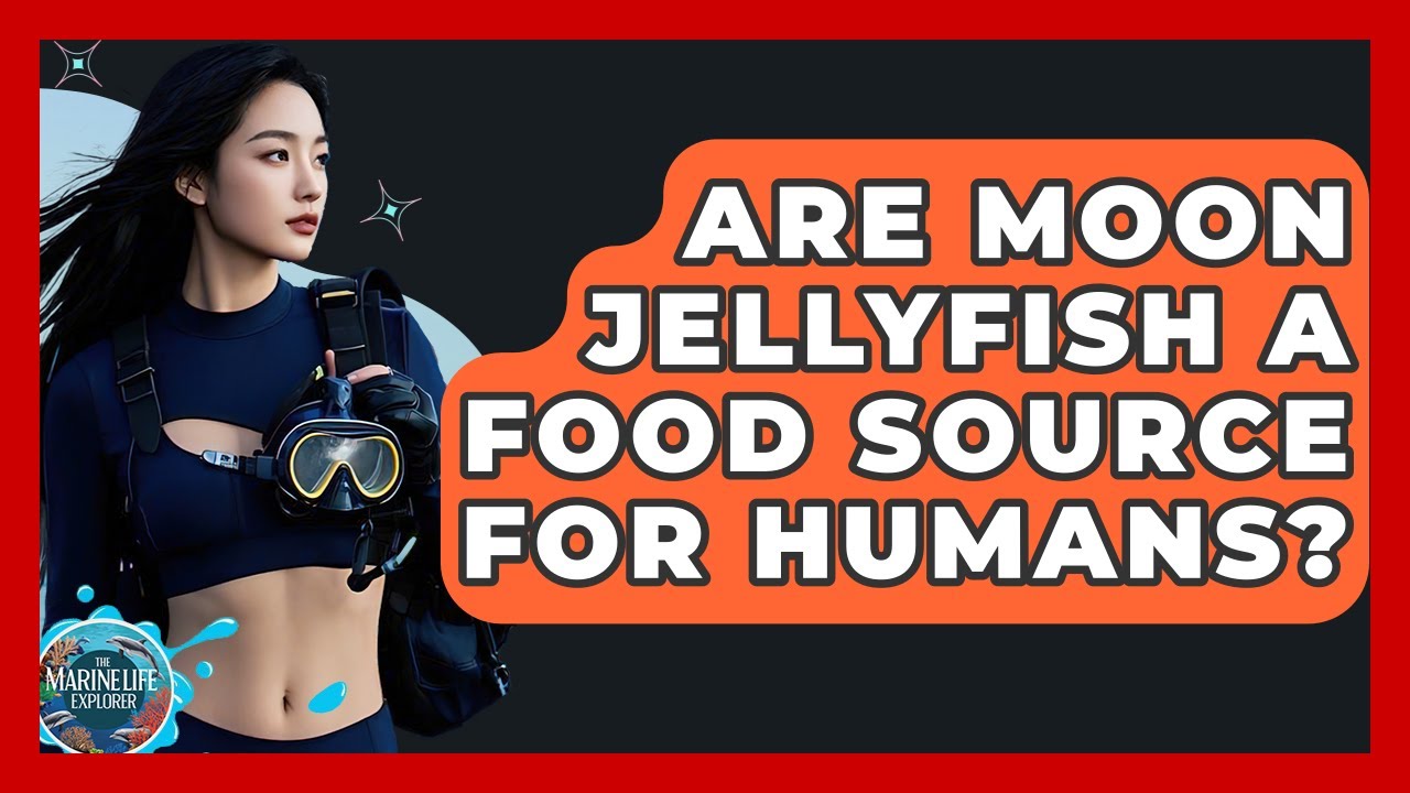 Are Moon Jellyfish A Food Source For Humans? - The Marine Life Explorer ...