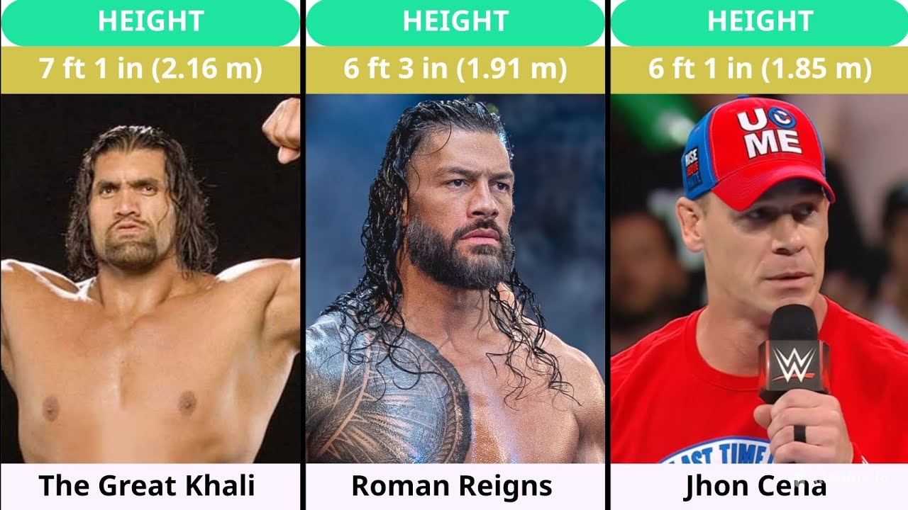 Top WWE Wrestlers and Their Real Heights – You’ll Be Shocked!# ...