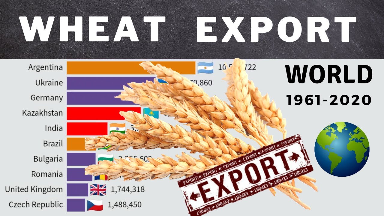 WHEAT EXPORT In The World by Country | 1961-2020 - YouTube