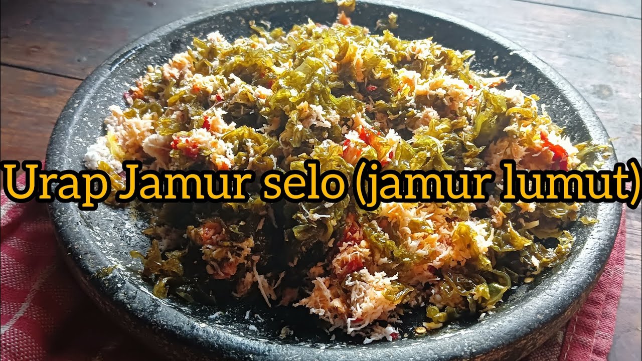 YAKIN INI BISA DI MAKAN ???Urapan Jamur Lumut (Selo)||resepe mbah buyut ...