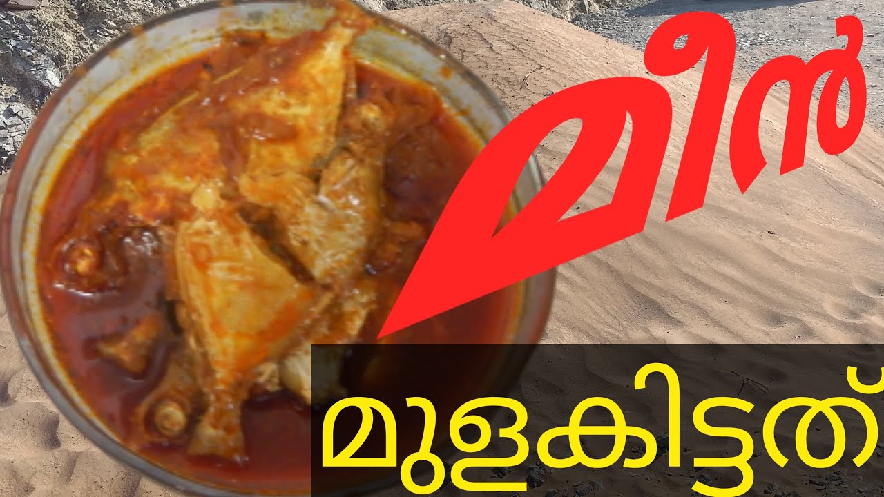MULLAN MULAKITTATHU/MEEN MULAKITTATHU/MEIN CURRY/SIMPLE MEIN CURRY/MEEN ...