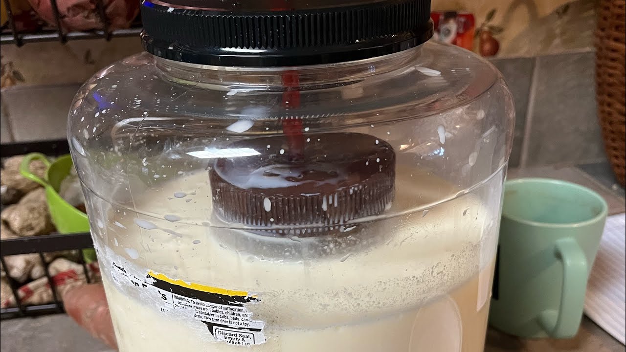 I made a Homemade kefir jar - YouTube