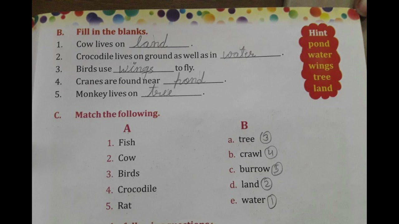 3rd Class | EVS | Chapter-1, Book work - YouTube