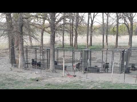 Friday Nite Live BBK GANG!!! - YouTube