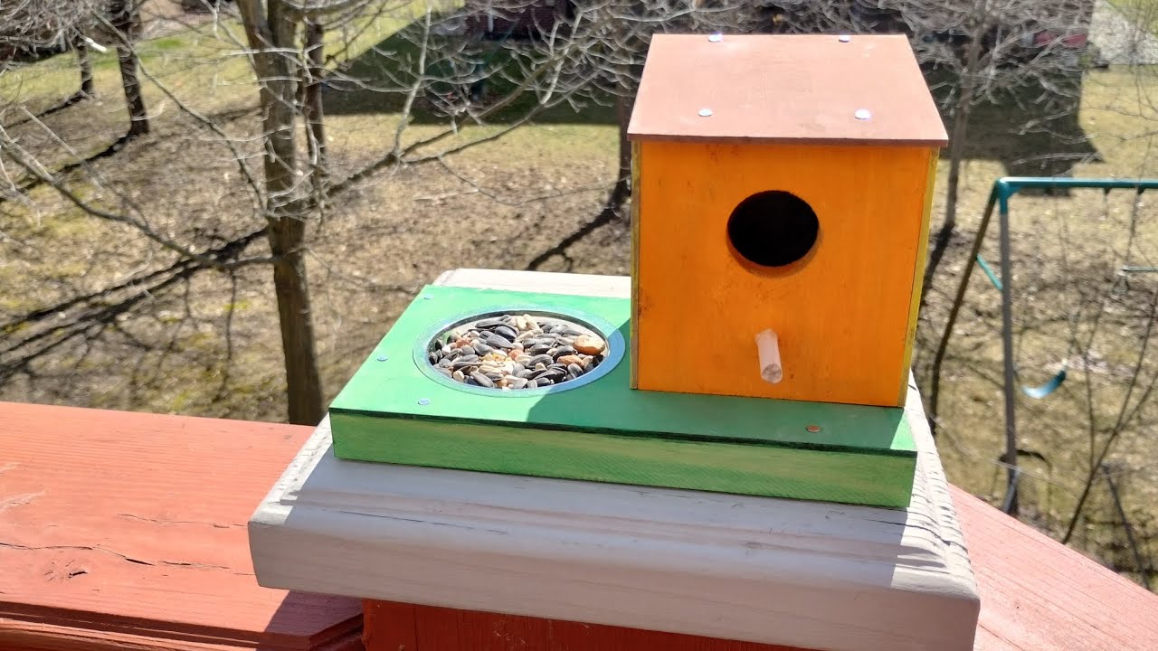 This awesome pool side birdhouse is the perfect way to attract more ...