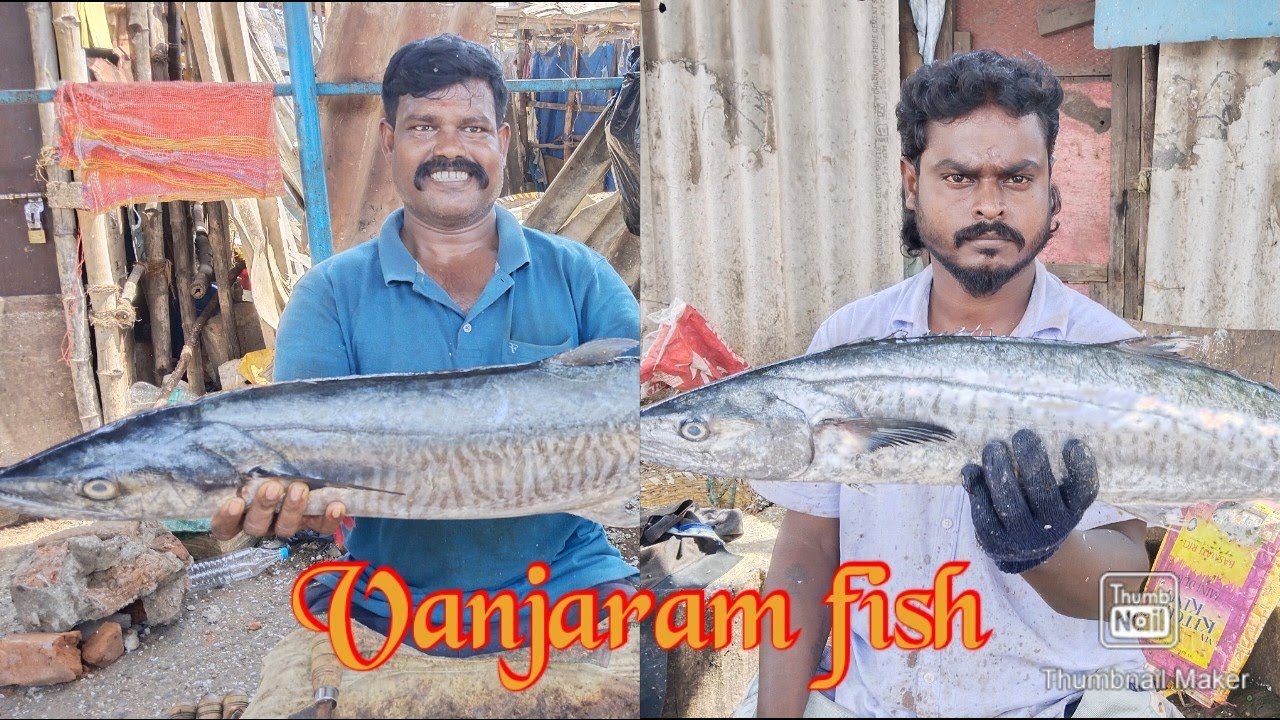 Vanjaram fish cutting video/fishcuttingrs #fishcuttingrs #fish # ...