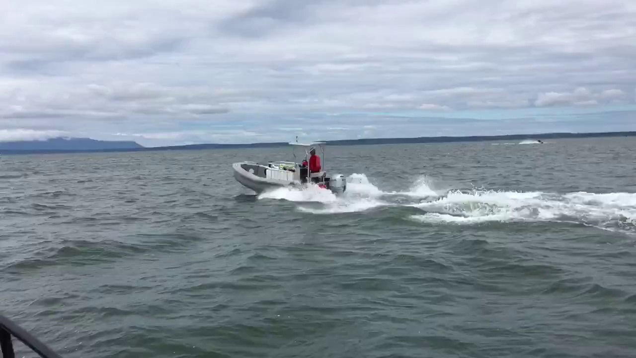 Bullfrog Pump Out Boat Bellingham Bay - YouTube