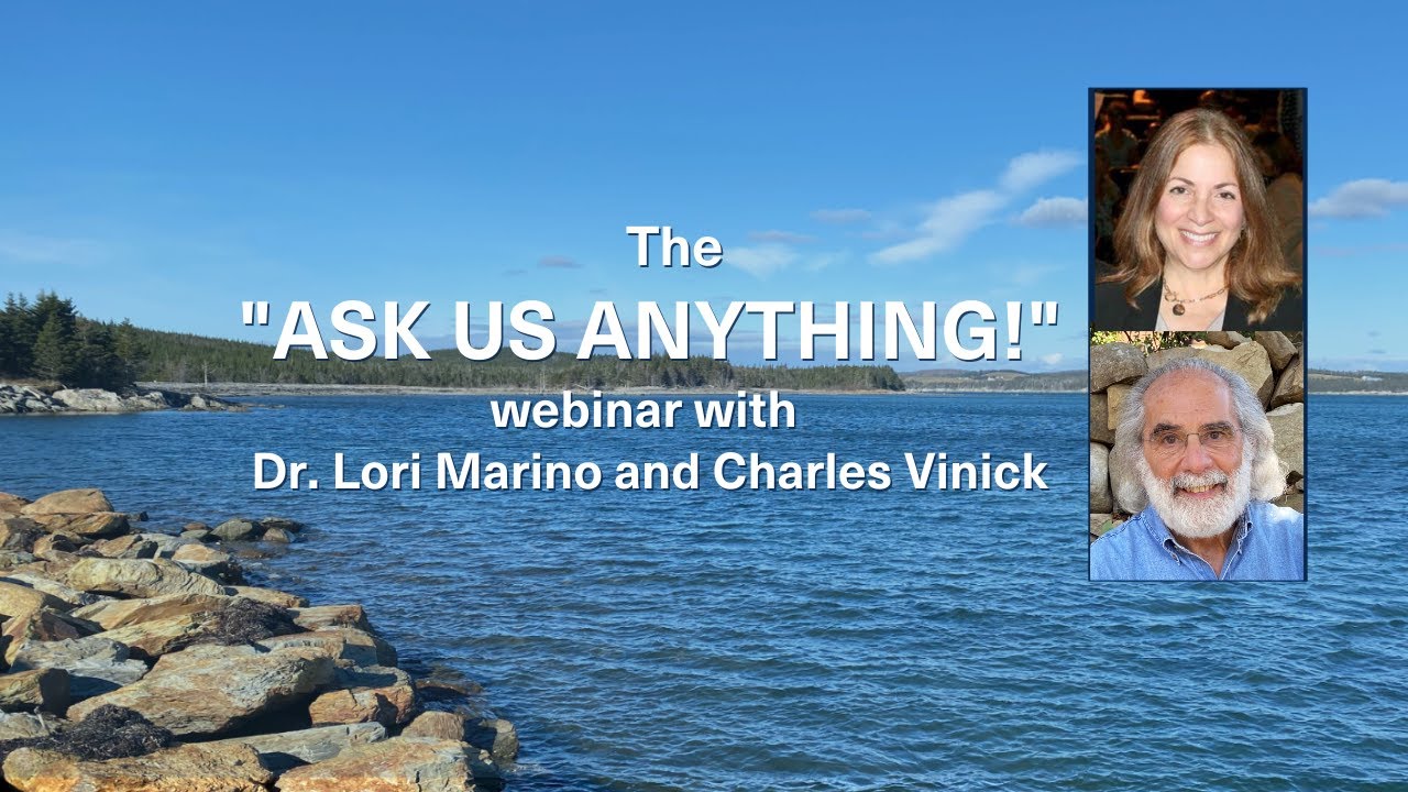 “Ask us Anything” Webinar 2022 - YouTube