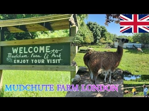 MUDCHUTE FARM AND PARK LONDON || NEAR CANARY WHARF 2023. - YouTube