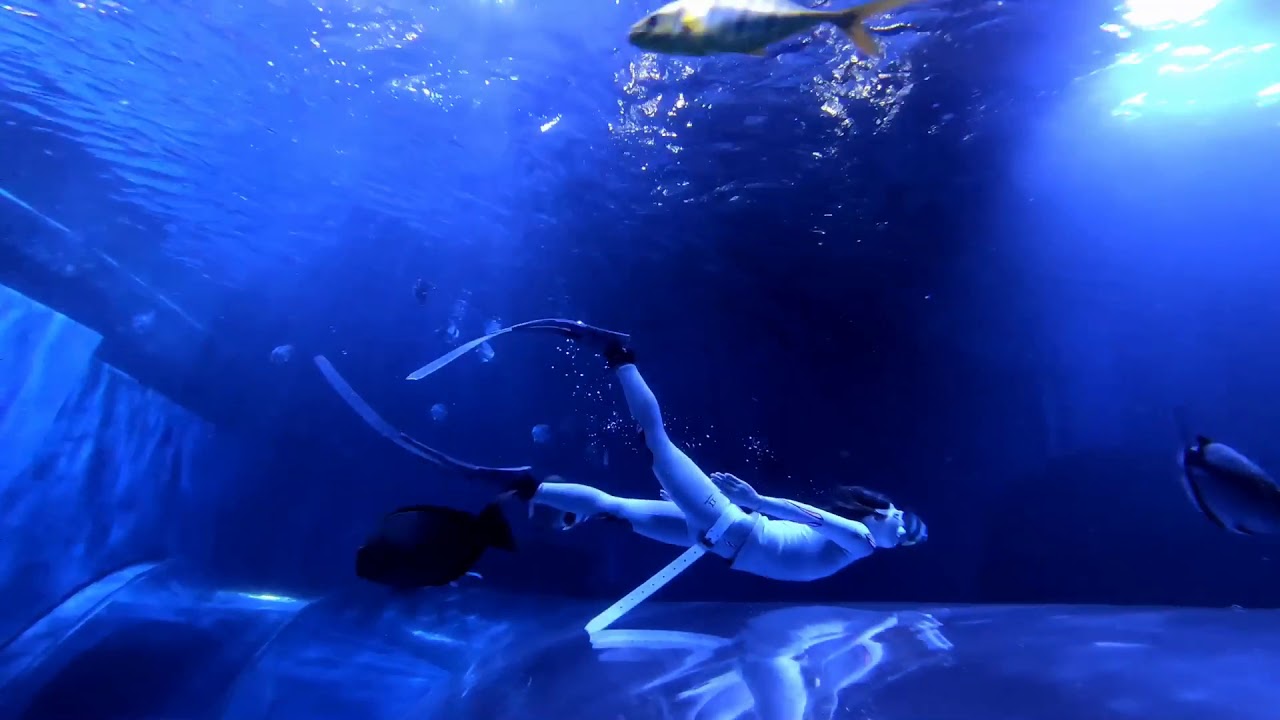 Free diving in aquarium - YouTube
