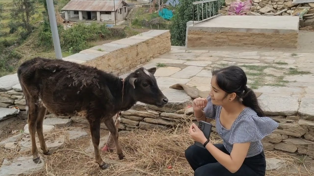 Syahi devi temple|| temple near almora|| exploring the hidden beauty of ...