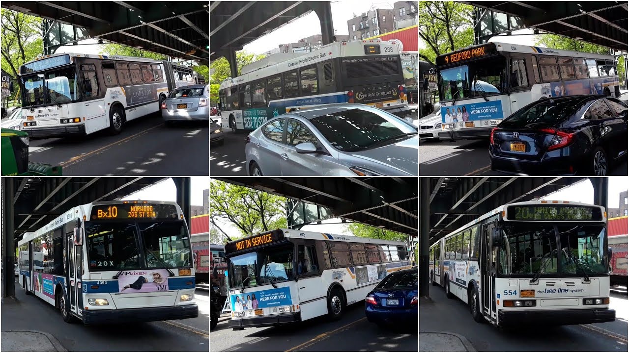 Bee-Line/MTA: Neoplan AN-460A's|NABI 40-LFW Hybrid|Orion V's|VII NG ...