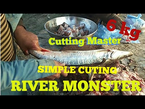 How to cutt a big river fish. PAKISTANI# Singari fish#Very simple ...