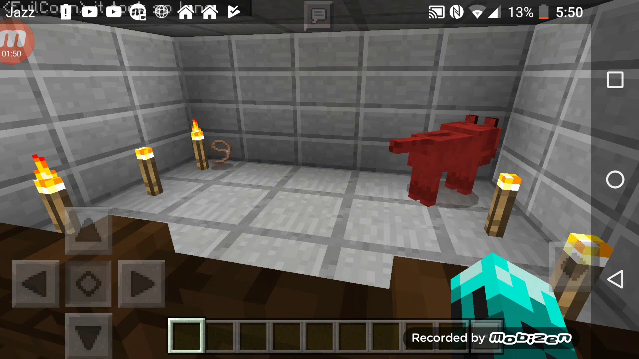 Omg A Rare Dog Spawn In Minecraft (Red Dog😱😱) - YouTube