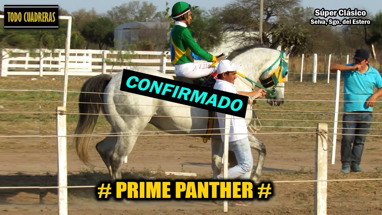🏇 PRIME PANTHER # CONFIRMADO # Súper Clásico - Selva (28-10-18) - YouTube