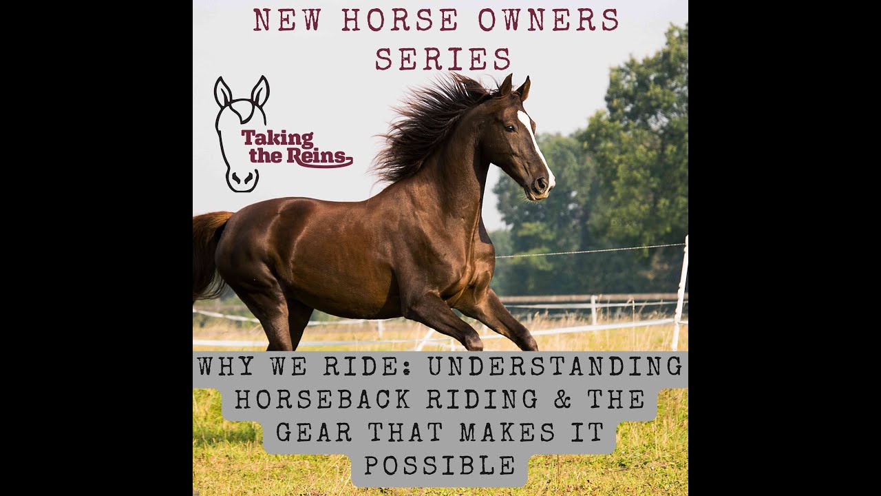 Why We Ride: Understanding Horseback Riding & the Gear That Makes It ...