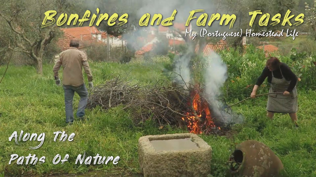 BONFIRES AND FARM TASKS (Ordinary tasks and projects at the farm in the ...