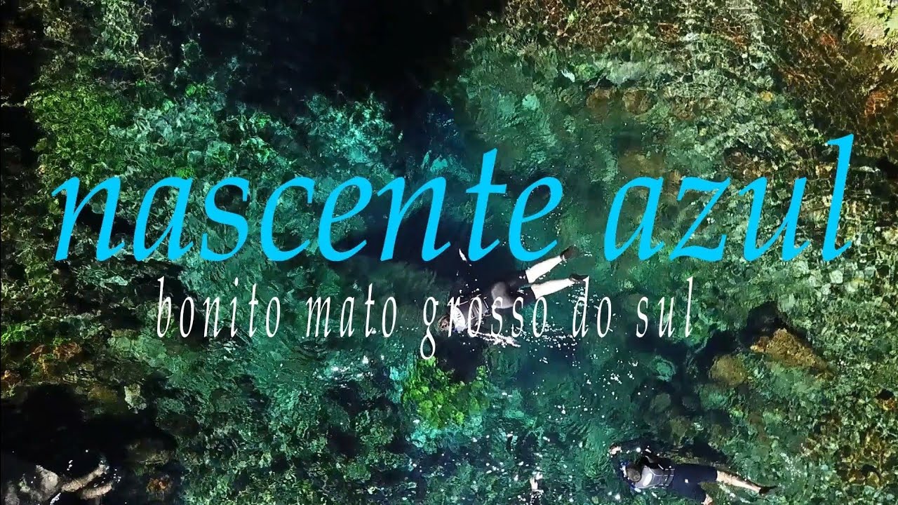 Flutuação Nascente Azul - Bonito MS - Brasil - YouTube